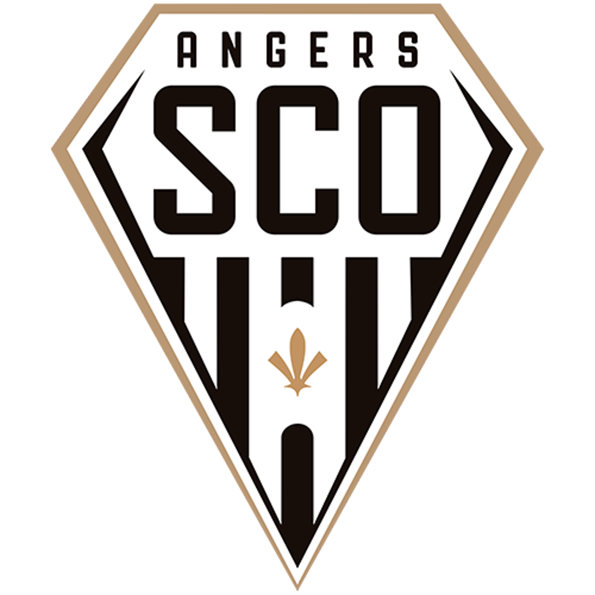 Paris Saint-Germain Men's Team Standings